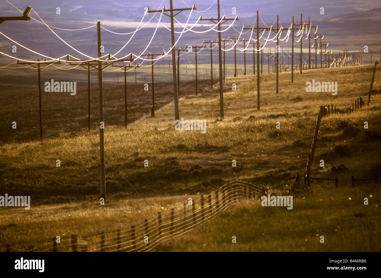 Power poles with power lines hi-res stock photography and images - Alamy