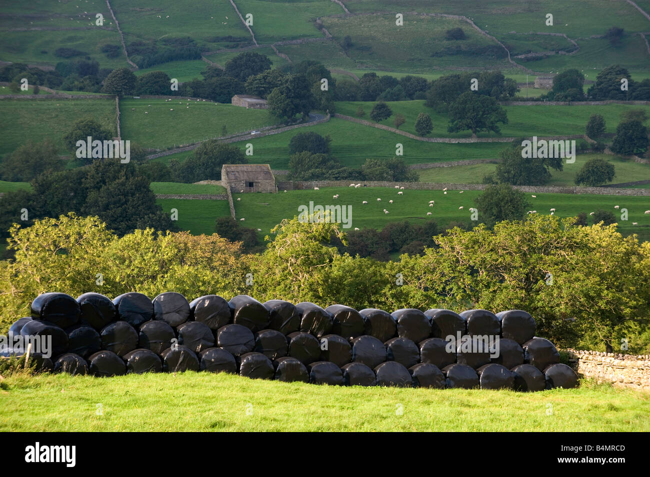 Stack of big bale silage in field Wensleydale North Yorkshire Stock ...