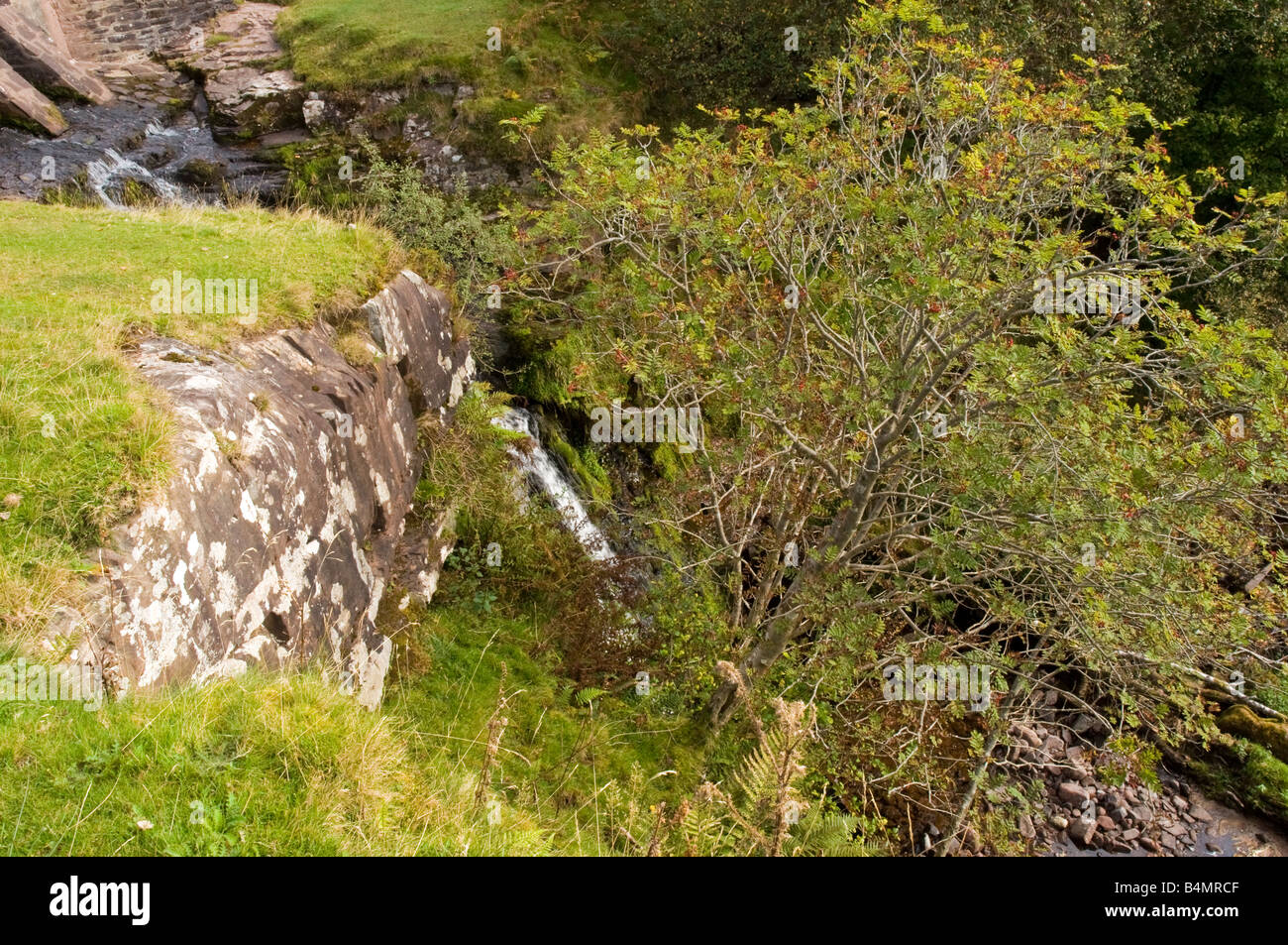 Brecon beacon scenery hi-res stock photography and images - Alamy