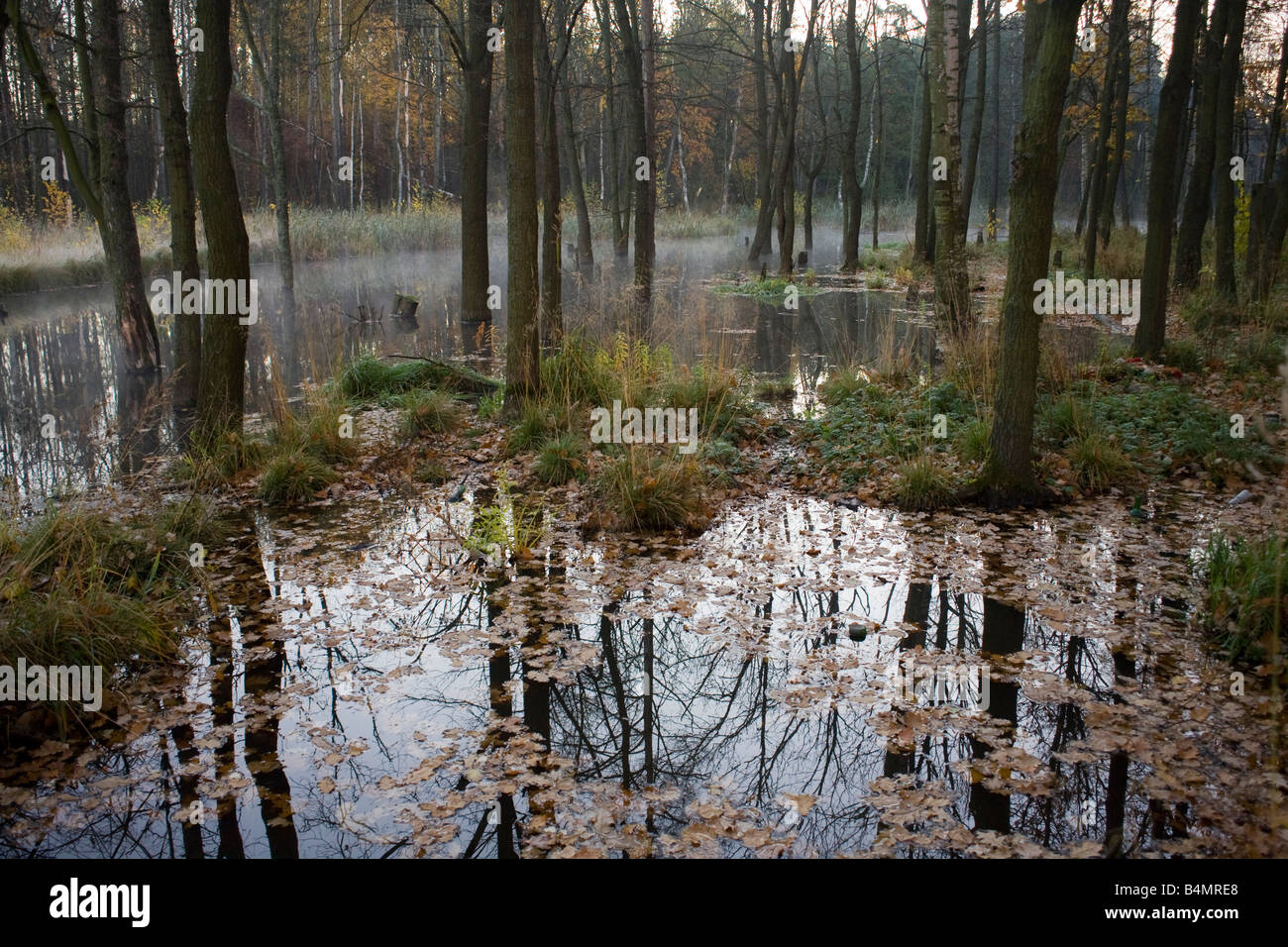 Frozen slough hi-res stock photography and images - Alamy
