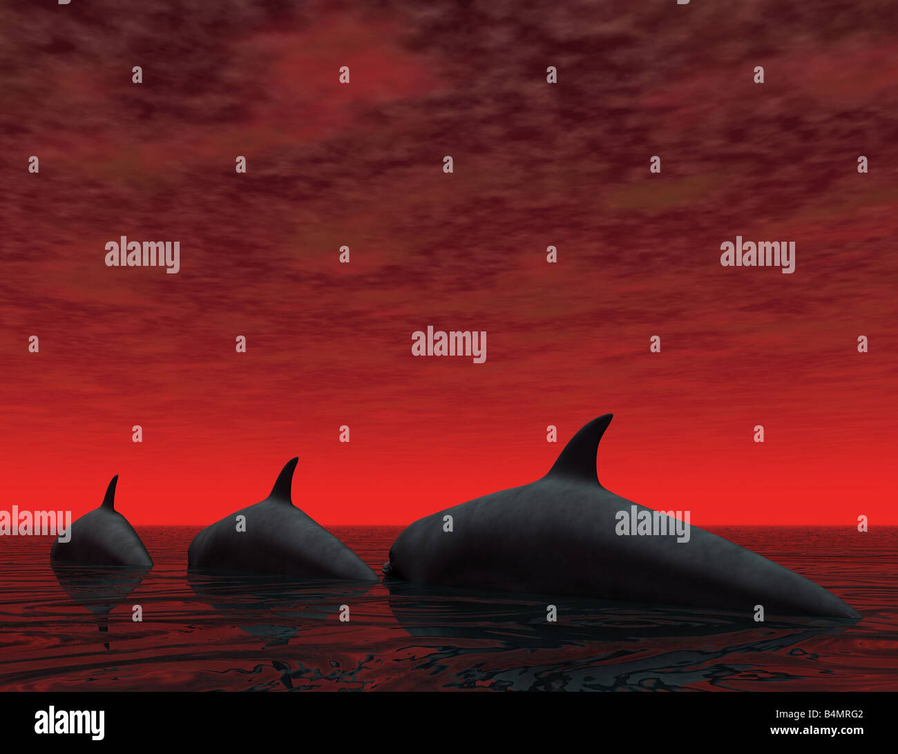 Illustrated dolphins silhouettes in a red sunset Stock Photo - Alamy