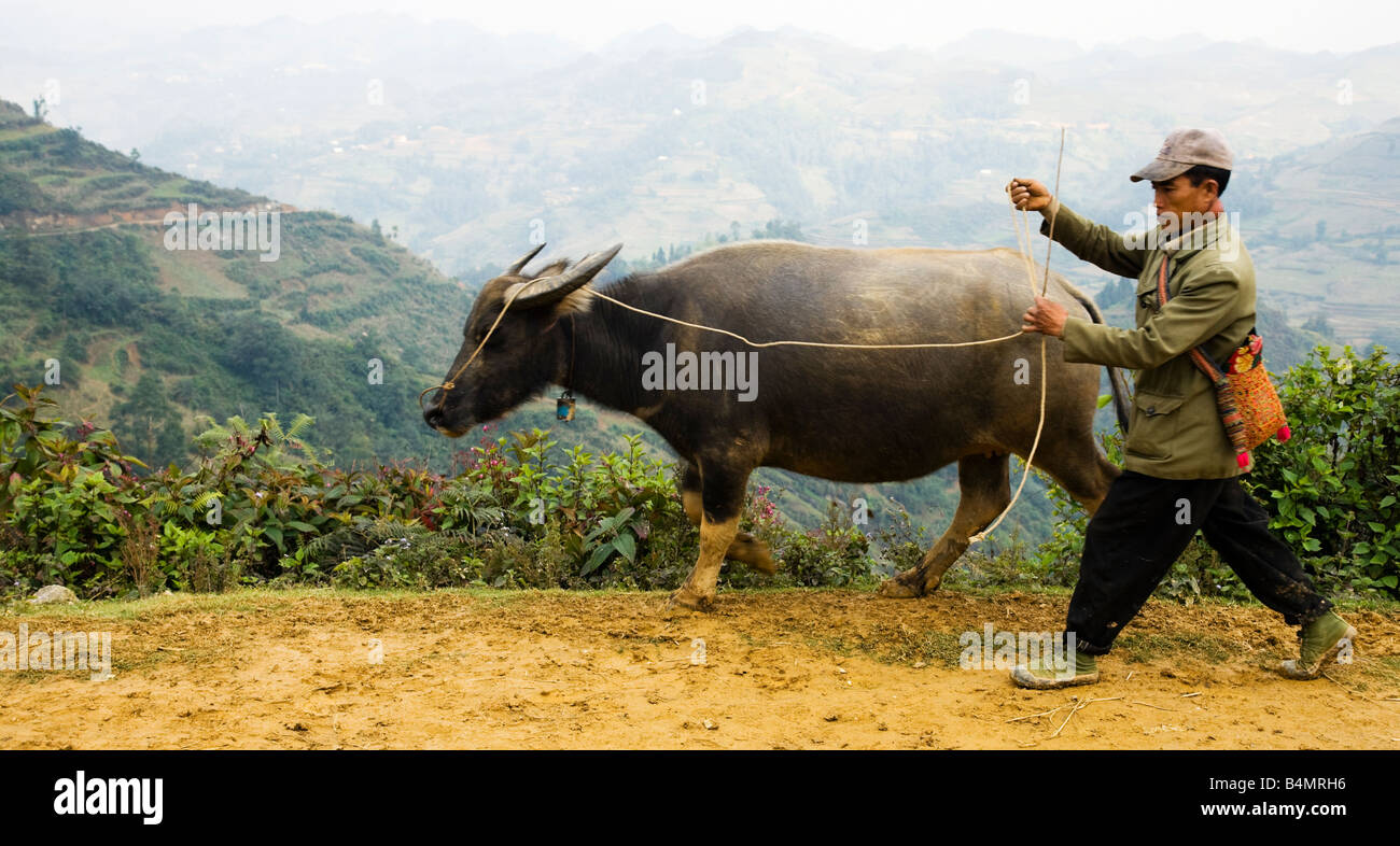 Ta Chai village; Bac Ha, Vietnam Stock Photo - Alamy