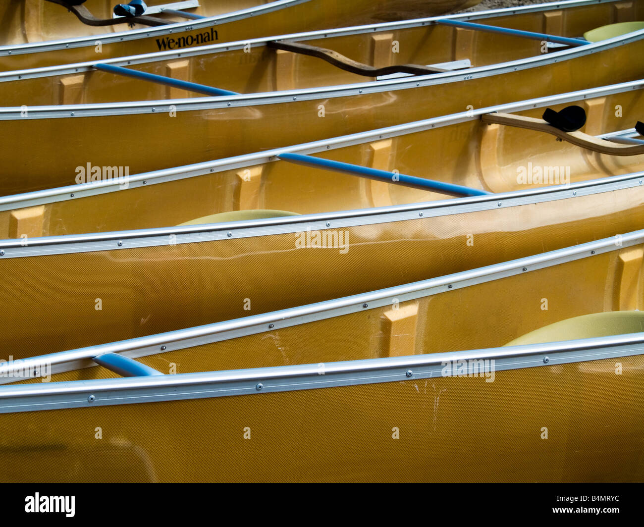 Yellow Kevlar canoes lined up on a beach before a race Stock Photo - Alamy