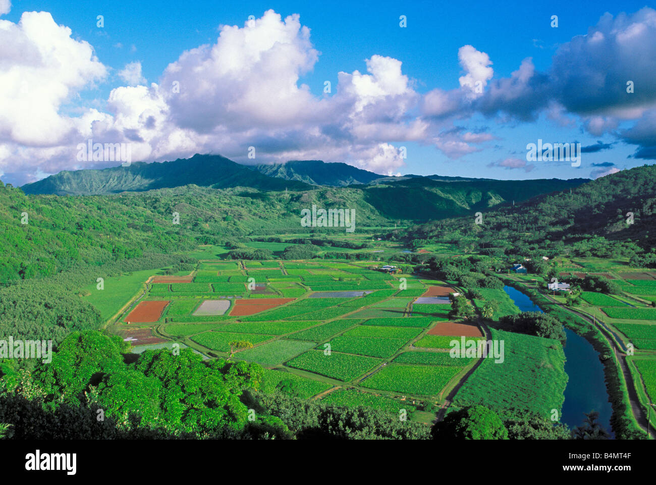 Hanalei national wildlife refuge hi-res stock photography and images ...