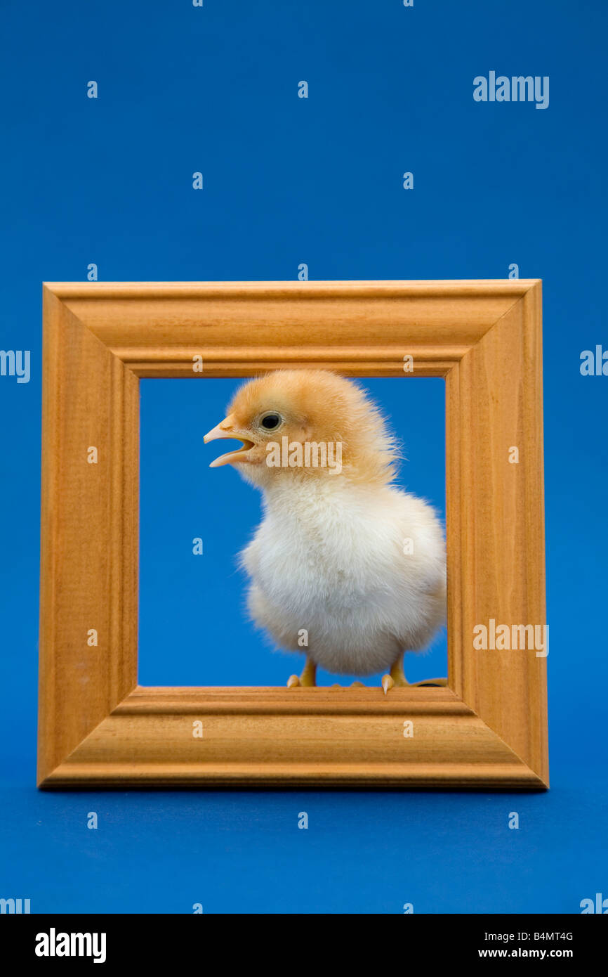 A frame hi-res stock photography and images - Alamy