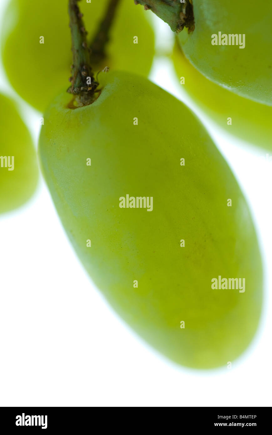 A close Up of White Grapes Stock Photo - Alamy