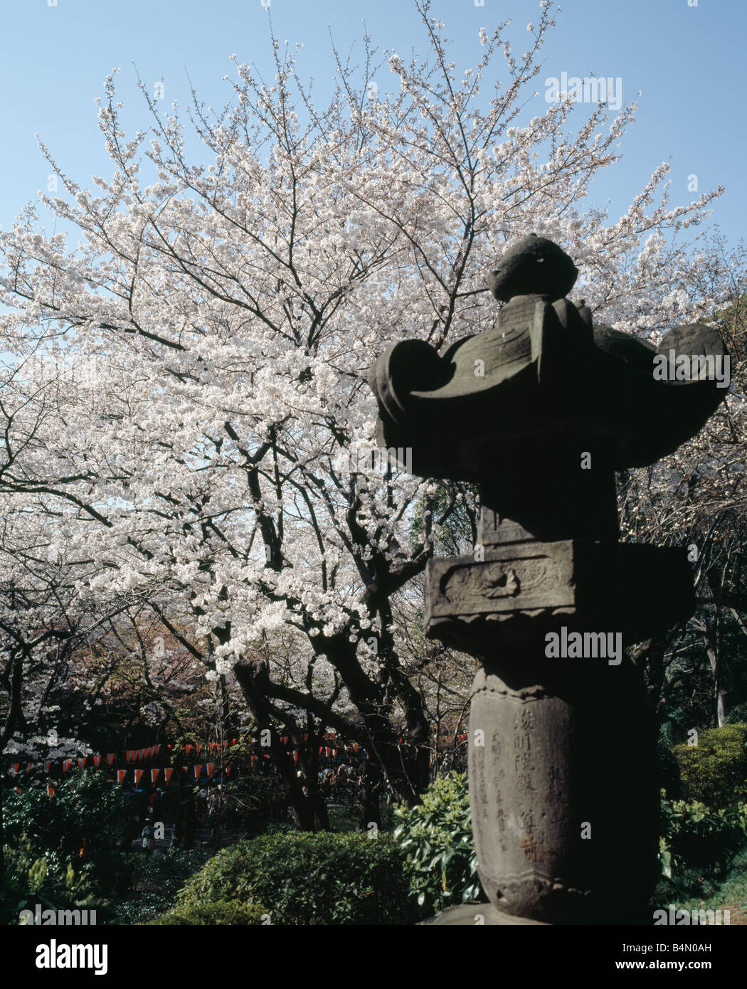 Tokyo hanami lantern hi-res stock photography and images - Alamy