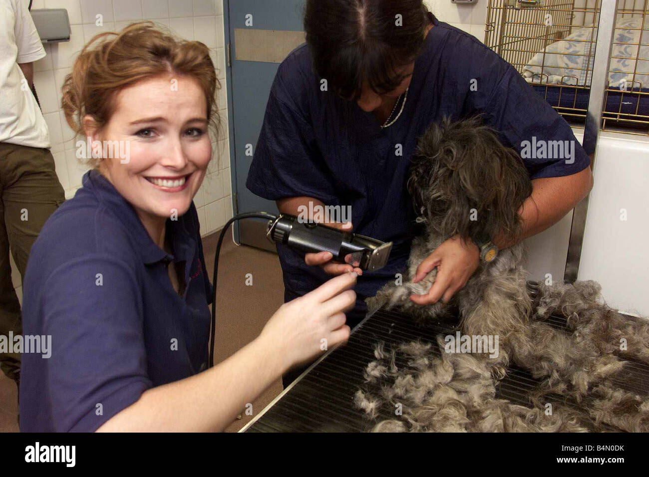 Shauna Lowry TV Presenter October 1999 giving Stimpy the dog a haircut ...