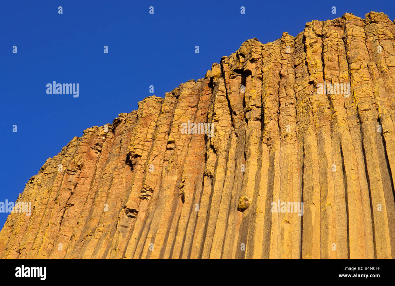 Evening light on column detail columnar basalt on the west face of ...