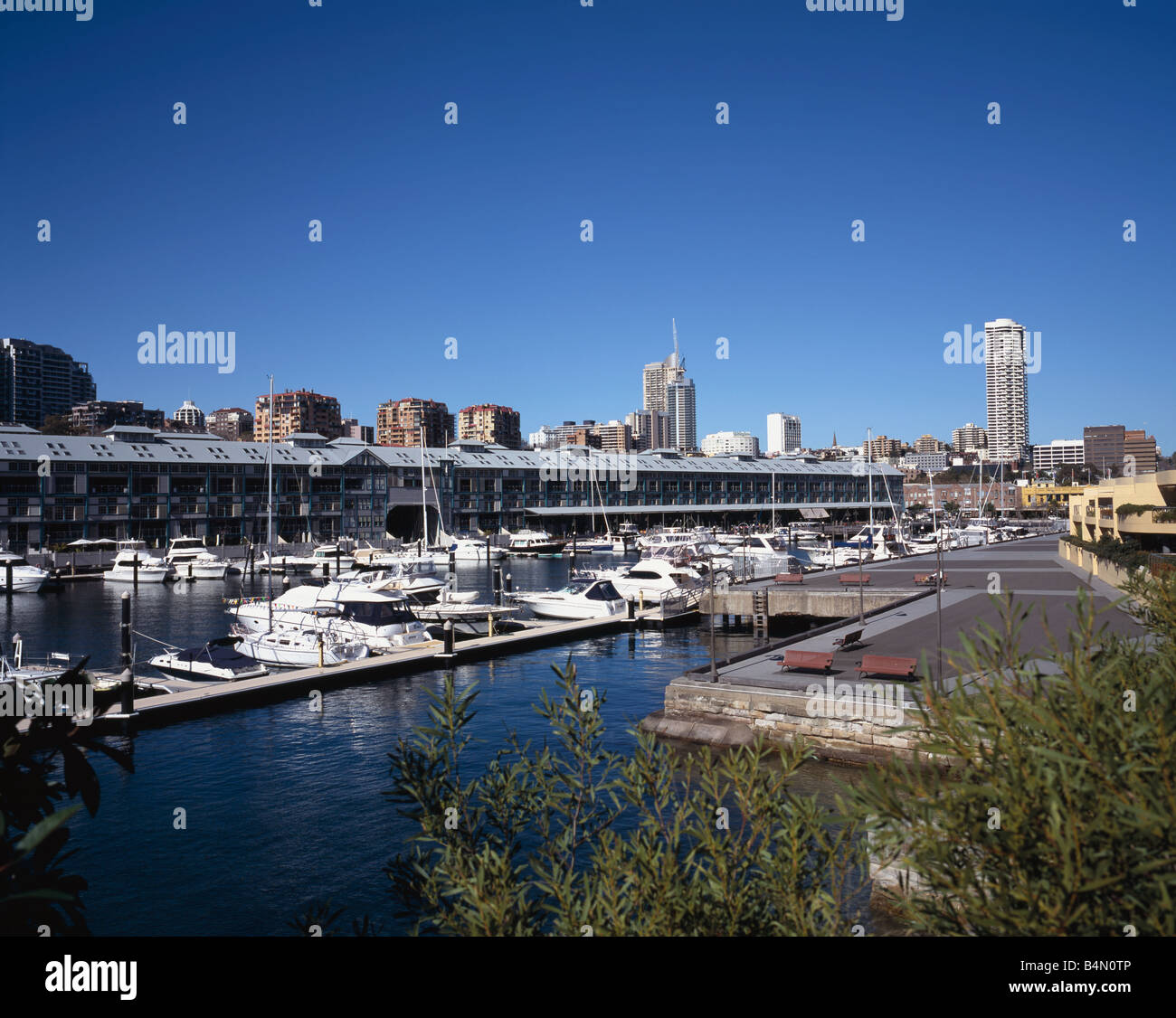 Woolloomooloo bay wharf hi-res stock photography and images - Alamy