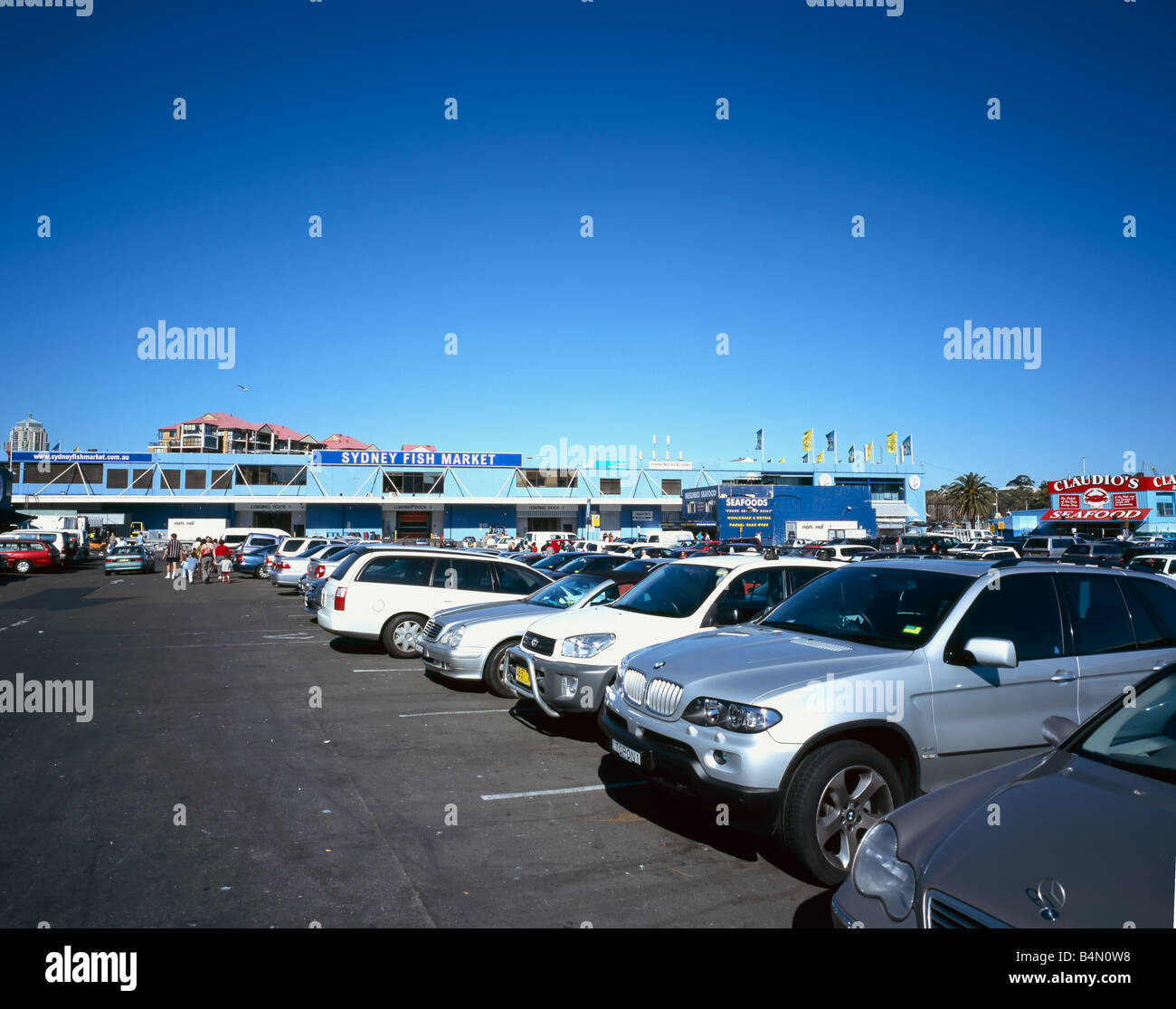Fish Market Sydney Pyrmont High Resolution Stock Photography and Images ...