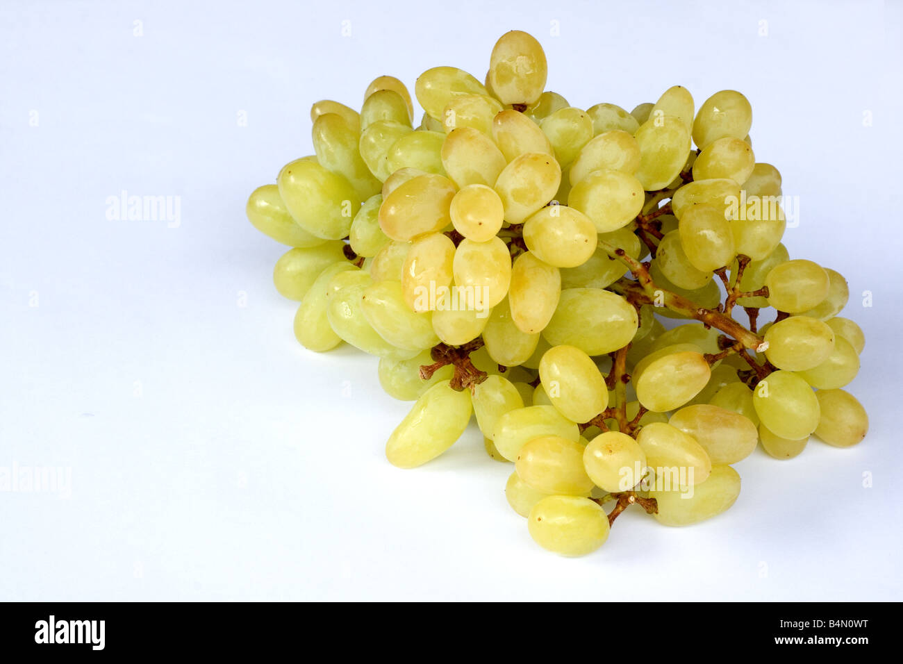 Isolated grape clusters hi-res stock photography and images - Alamy