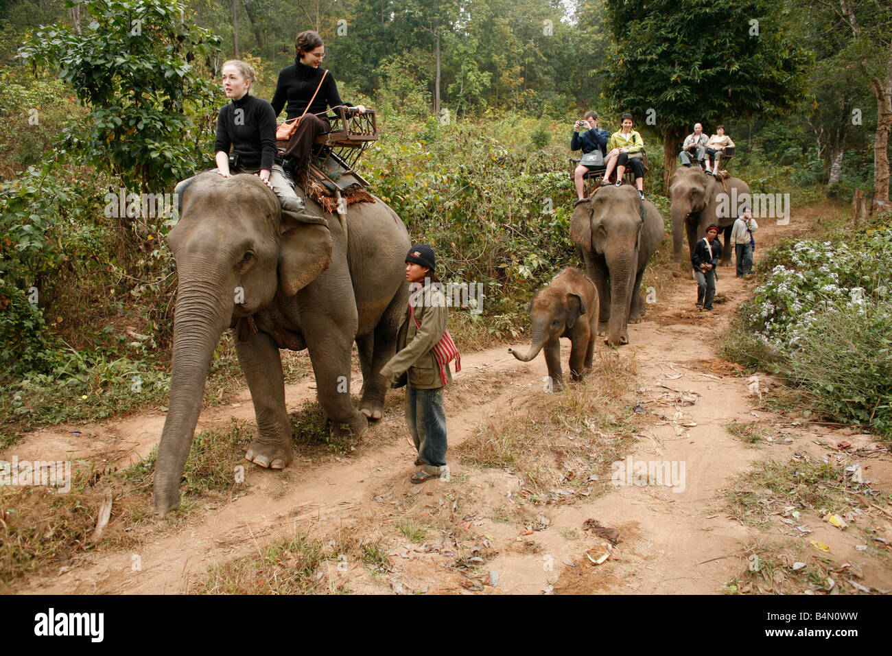 Girl riding an elephant hi-res stock photography and images - Alamy