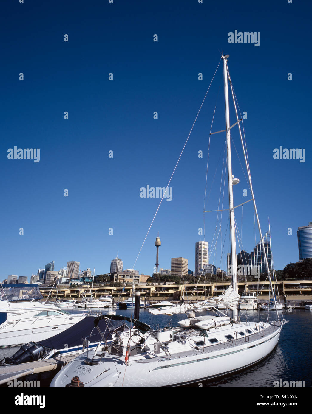 Yachts at the Finger Bay in Woolloomooloo Bay and the Sydney Skyline ...