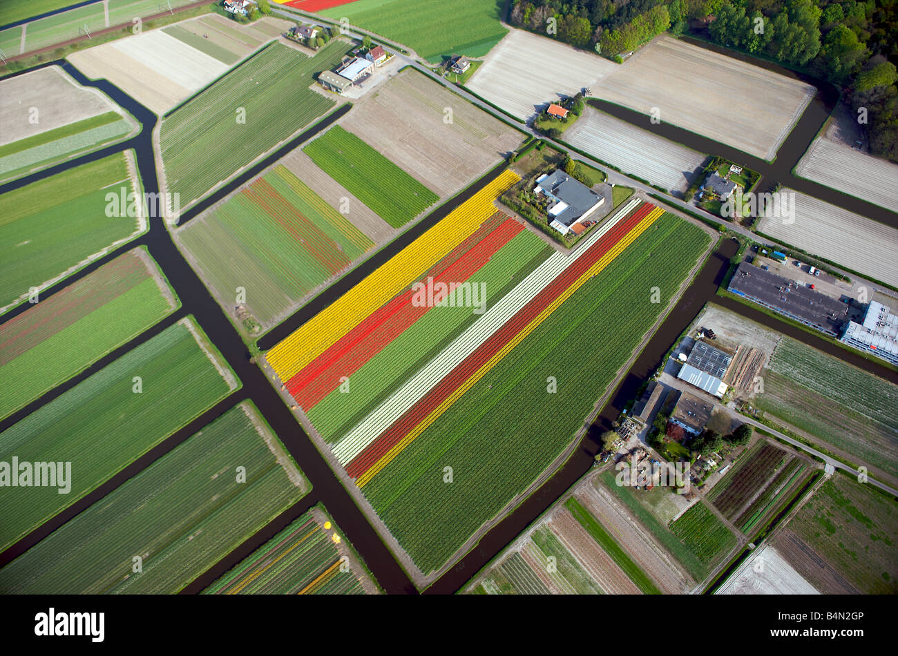 Bollenvelden hi-res stock photography and images - Alamy