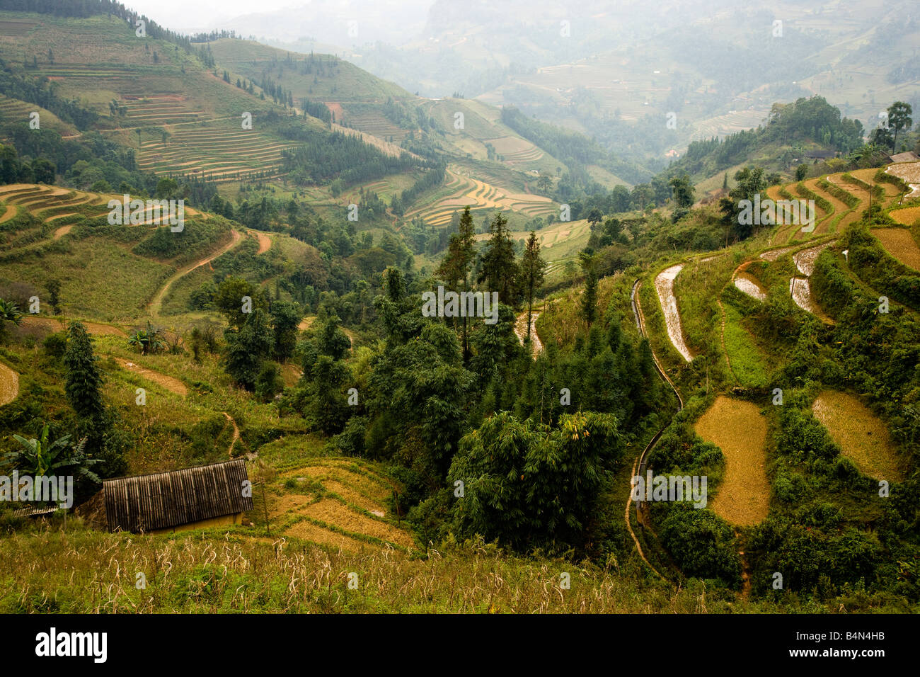 Ta Chai village; Bac Ha, Vietnam Stock Photo - Alamy