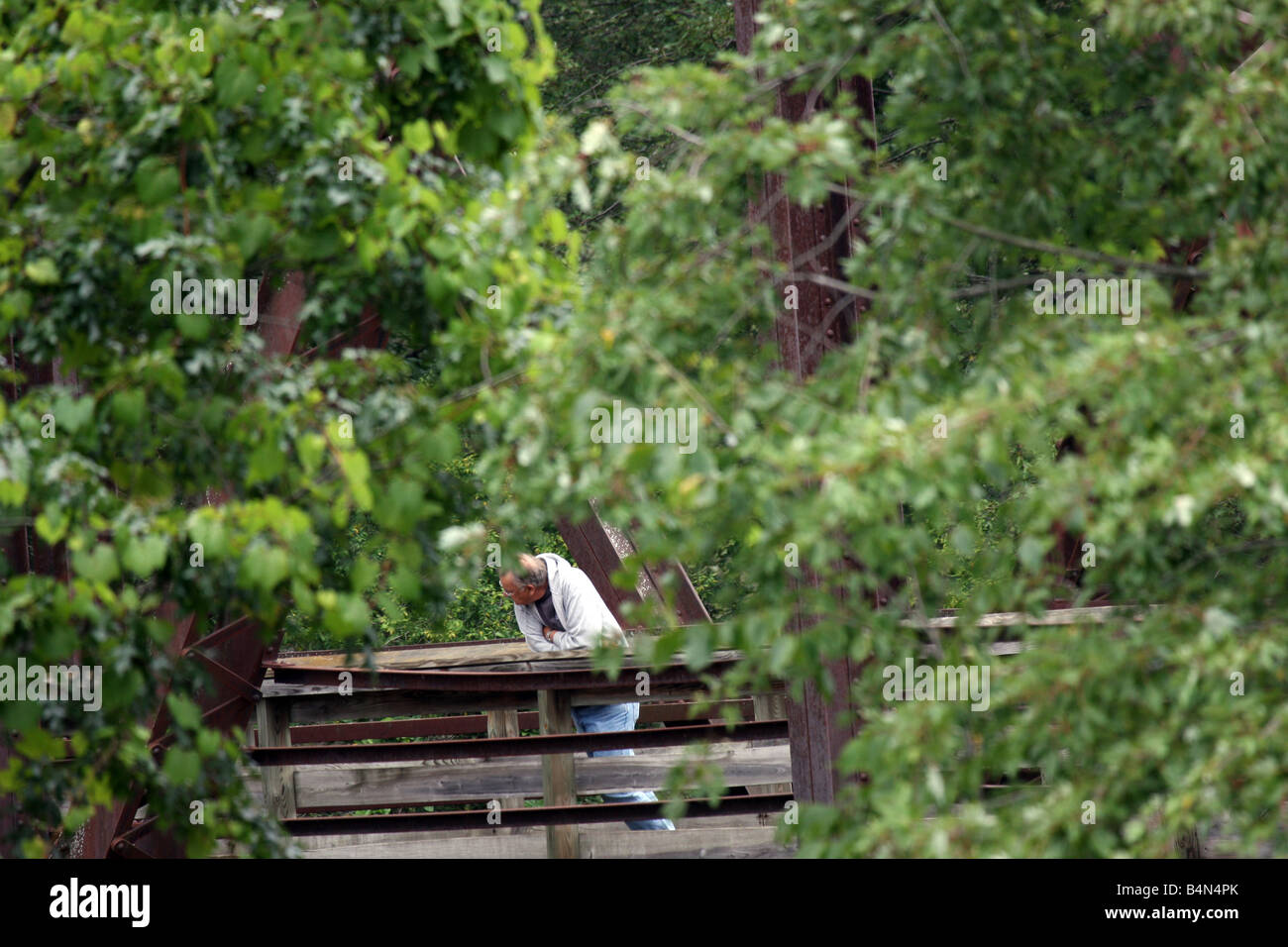 An older man looking over a bridge at a river below surrounded by trees ...