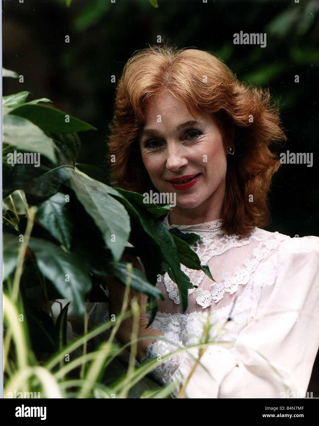 Shirley anne field hi-res stock photography and images - Alamy