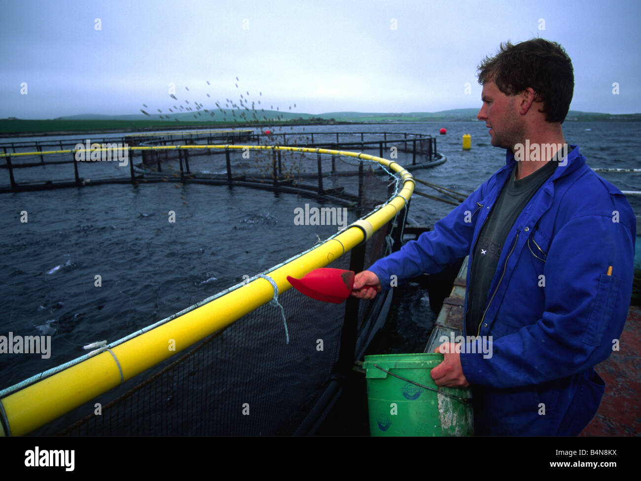 Scottish fish farm hi-res stock photography and images - Alamy