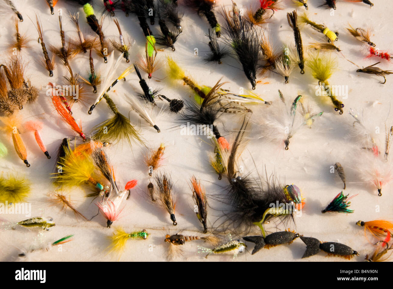 Selection of fishing flies Stock Photo - Alamy