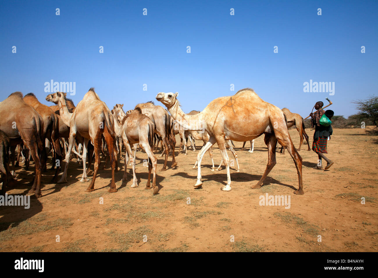 Somalian man hi-res stock photography and images - Alamy