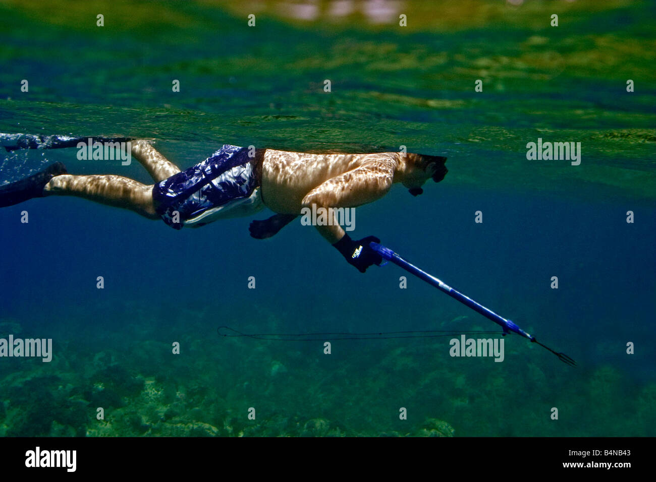 spearfisher fishing at shallow waters at Halkidiki,Aegean sea Stock ...