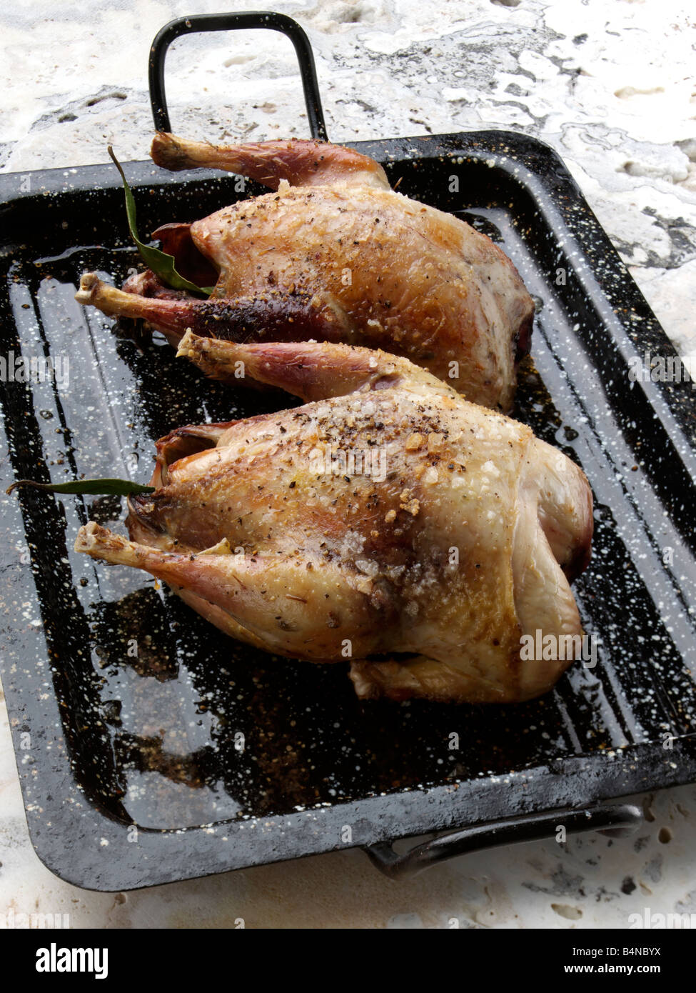 Whole fresh partridge hi-res stock photography and images - Alamy