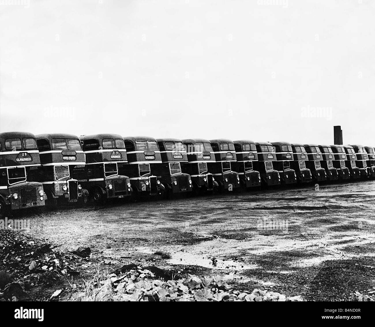 1950s buses hi-res stock photography and images - Alamy