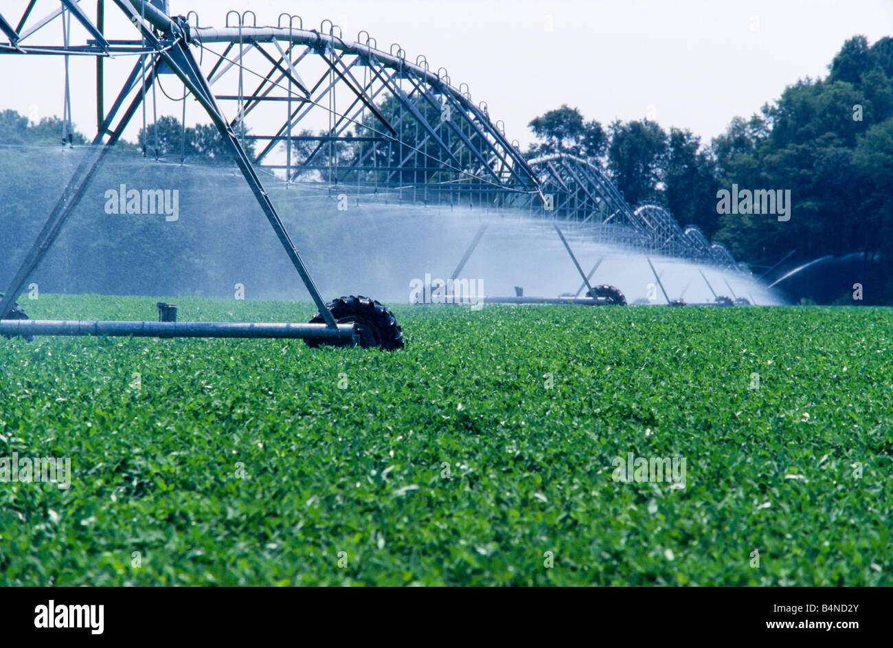 Irrigation of fields hi-res stock photography and images - Alamy
