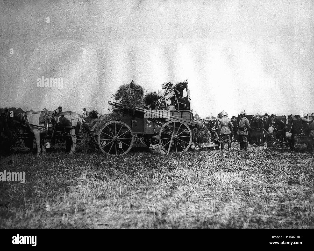 World war i german soldiers hi-res stock photography and images - Alamy