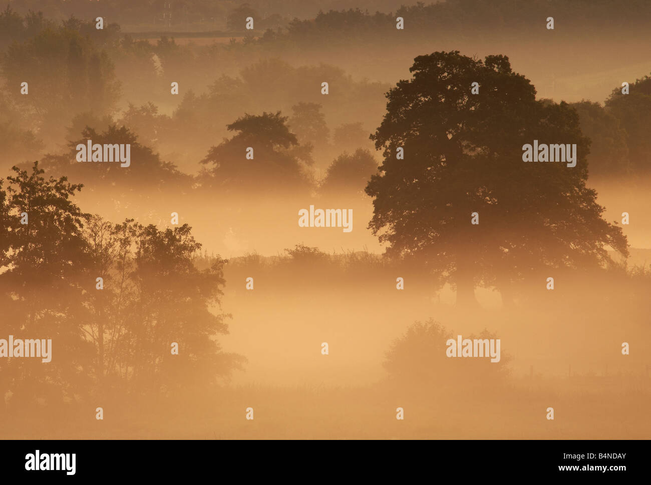 The morning mist hugs the surrounding farmland in the Norfolk ...