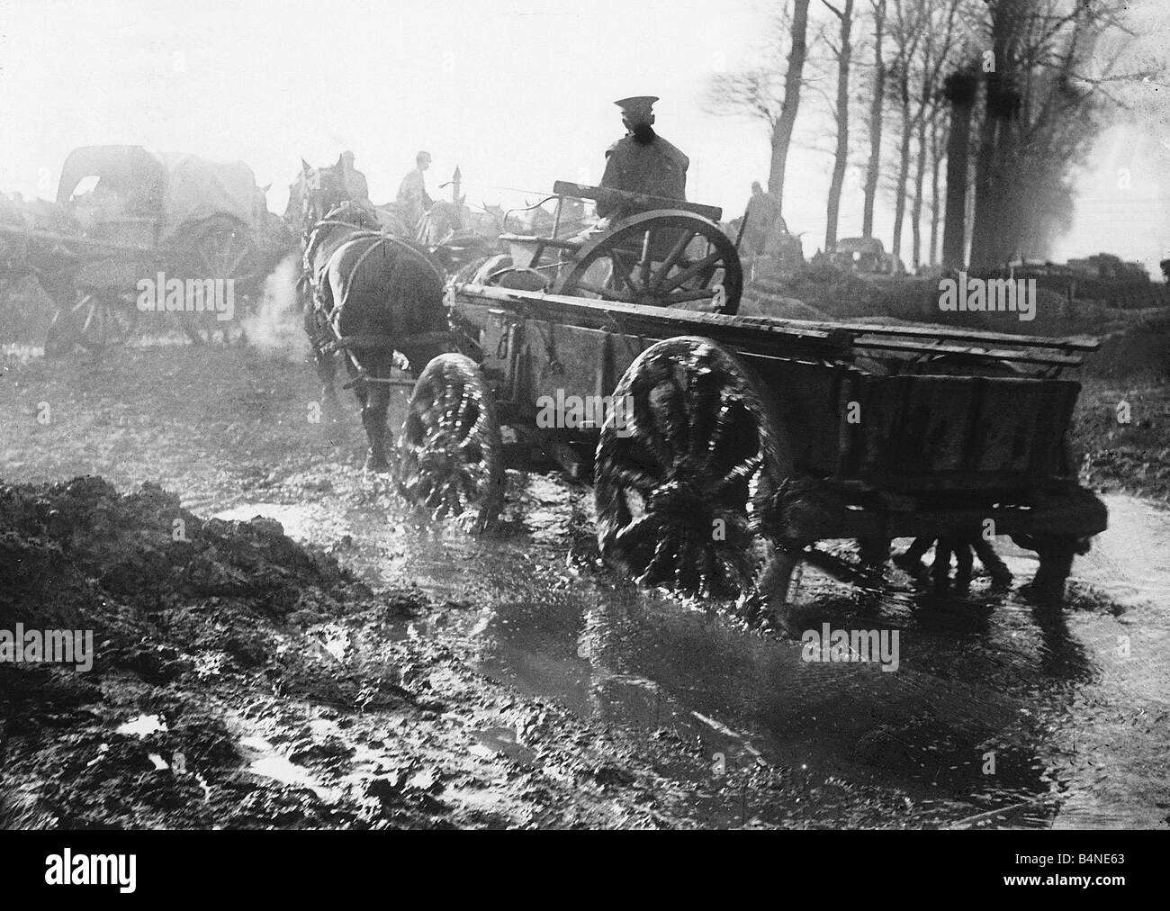 World War One A soldier drives a horse and supply cart through water ...