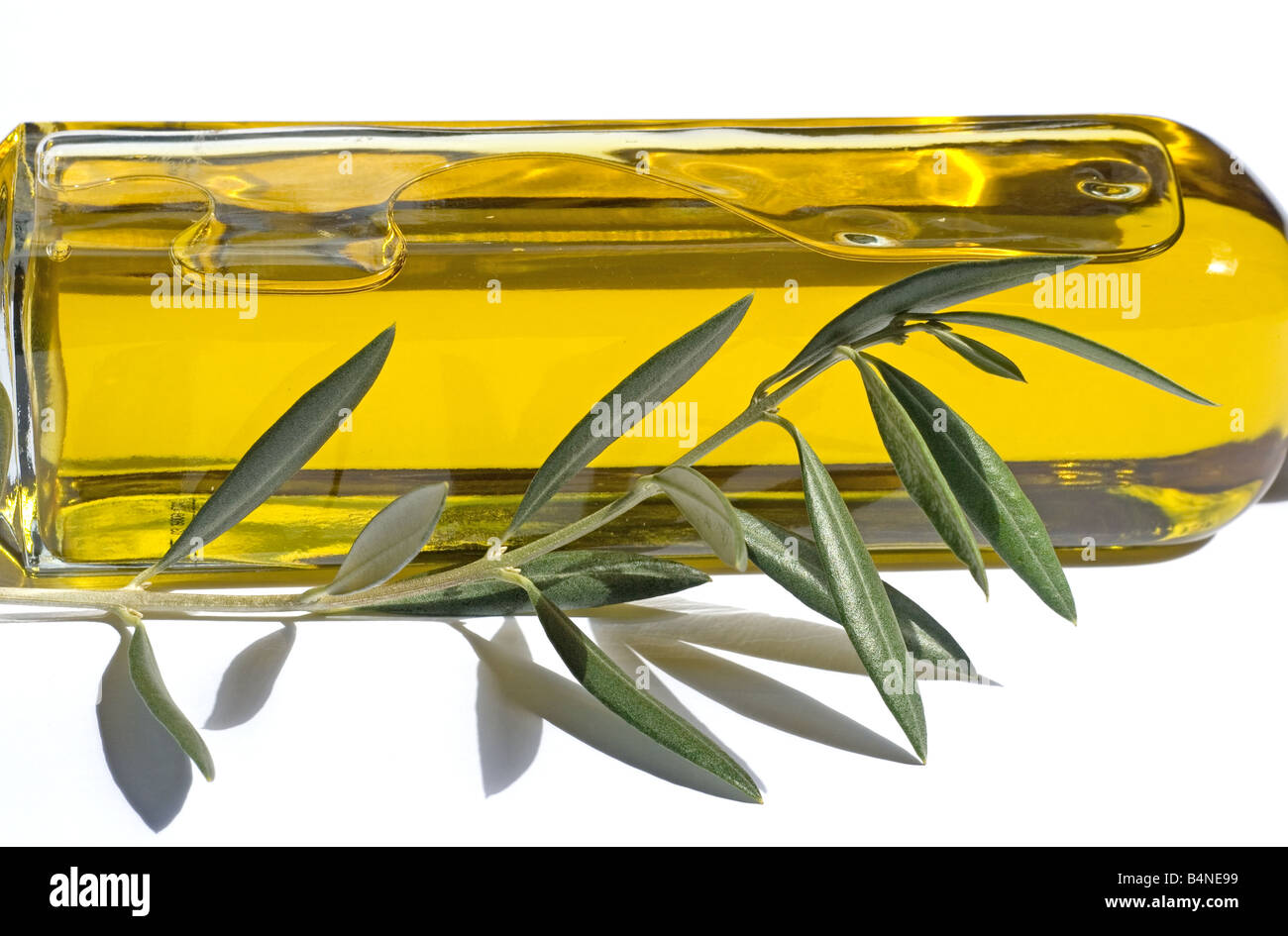 Olive oil and leaves on white background Stock Photo - Alamy