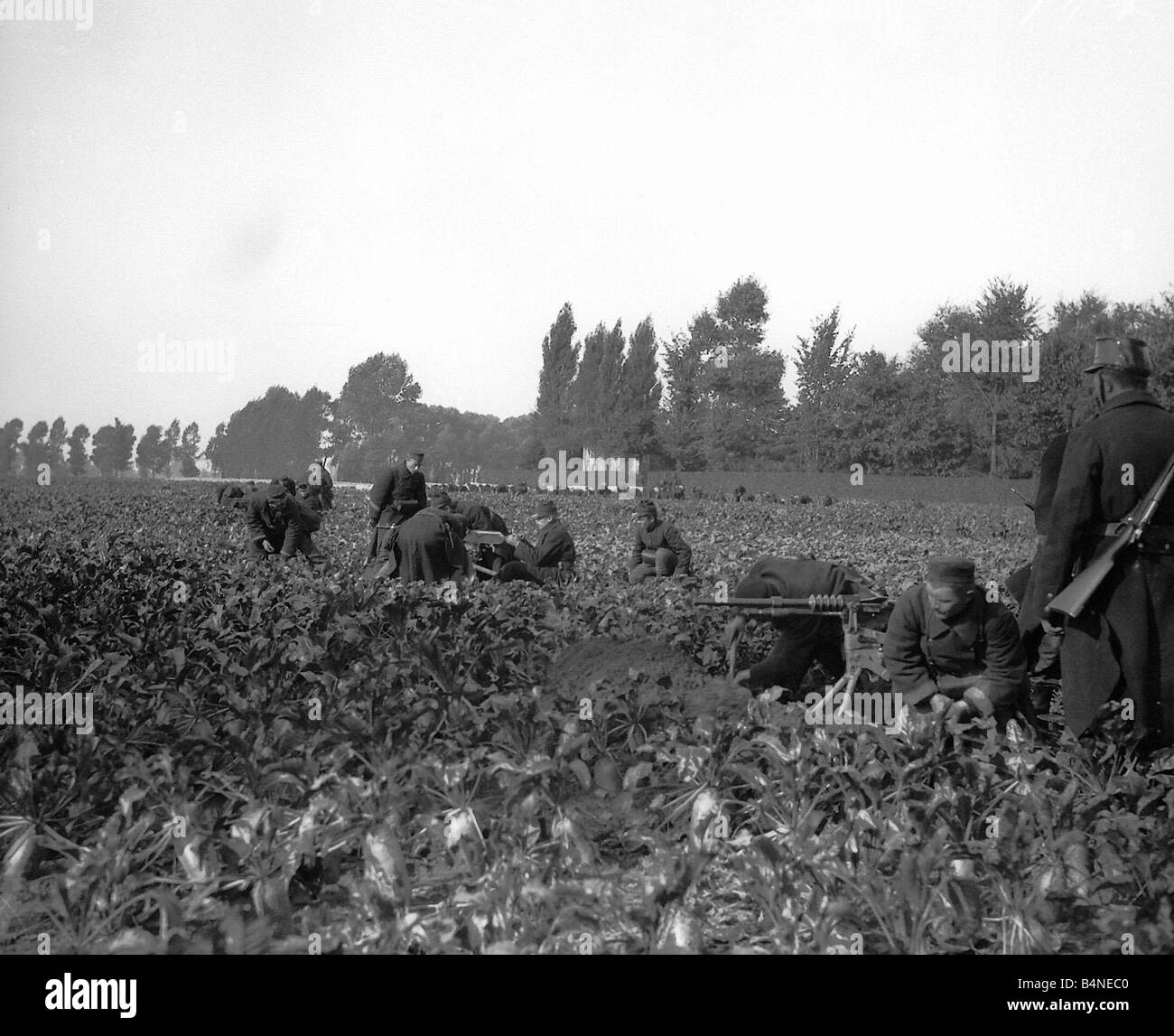 Machine gunners in action at the Battle of Audegen The machine gun ...