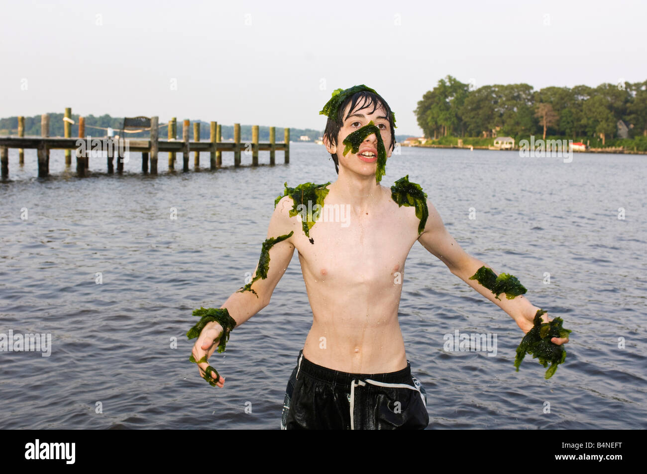 Tangled Seaweed Stock Photos & Tangled Seaweed Stock Images - Alamy