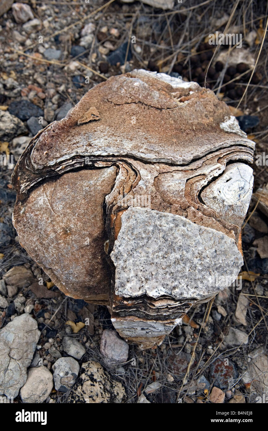 Close up of stromatolites & oncolites fossil records in Otavi ...