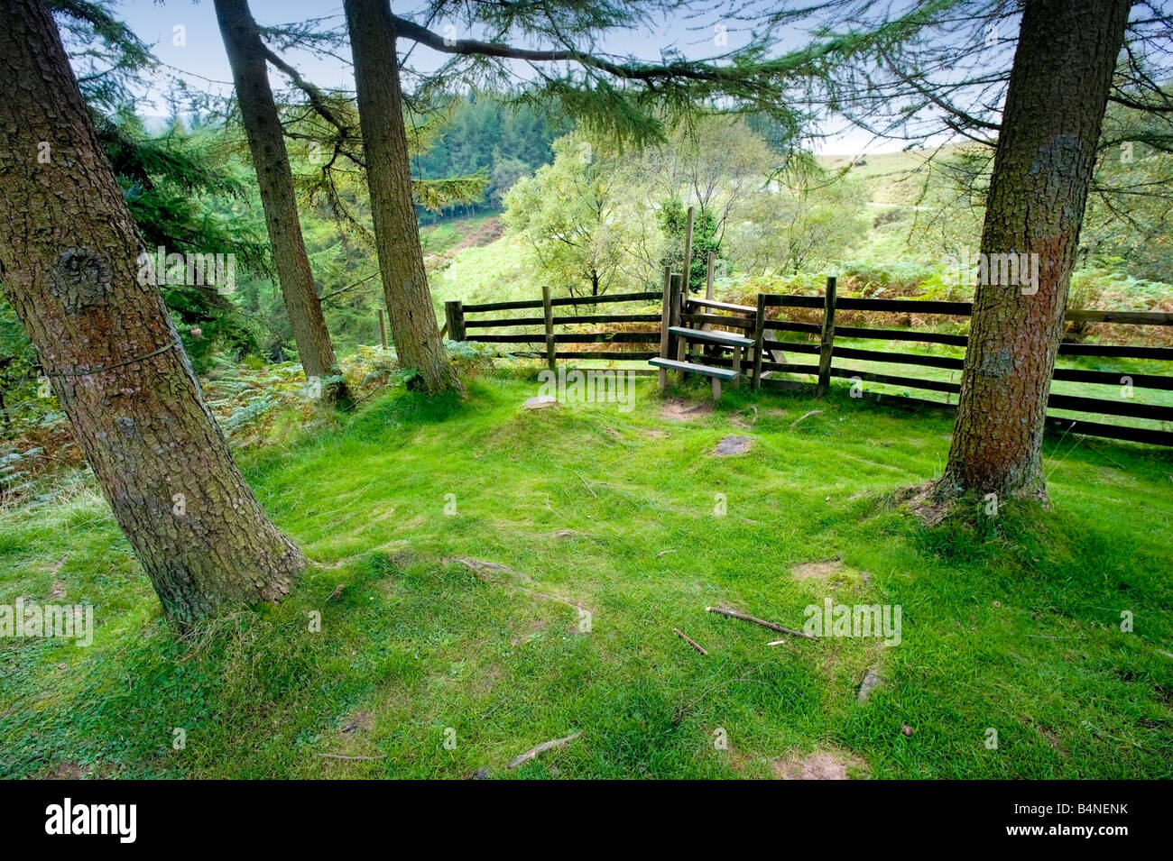 Stiles on footpath hi-res stock photography and images - Alamy