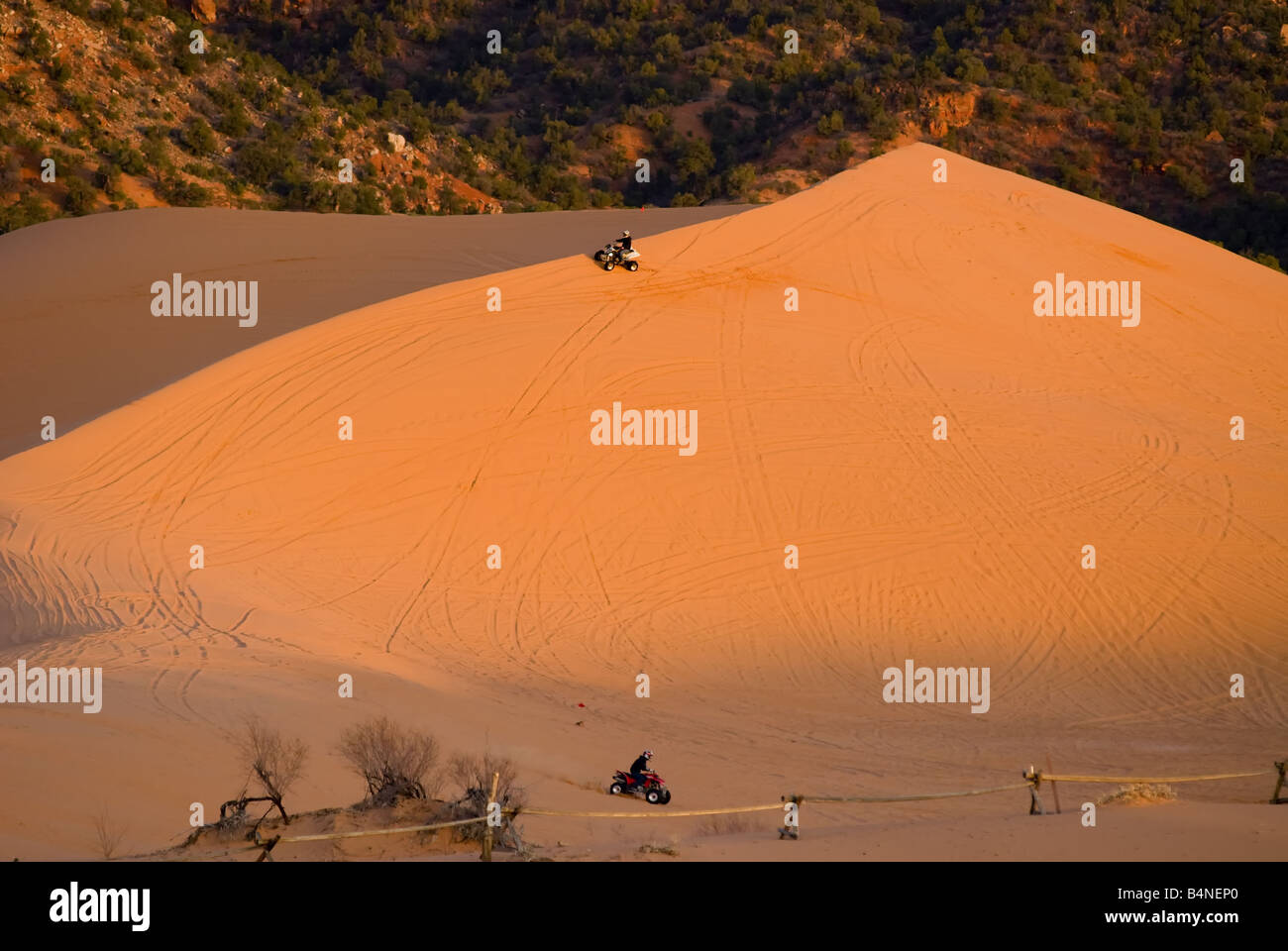 Coral Pink Sand Dunes State Park, Utah Stock Photo - Alamy