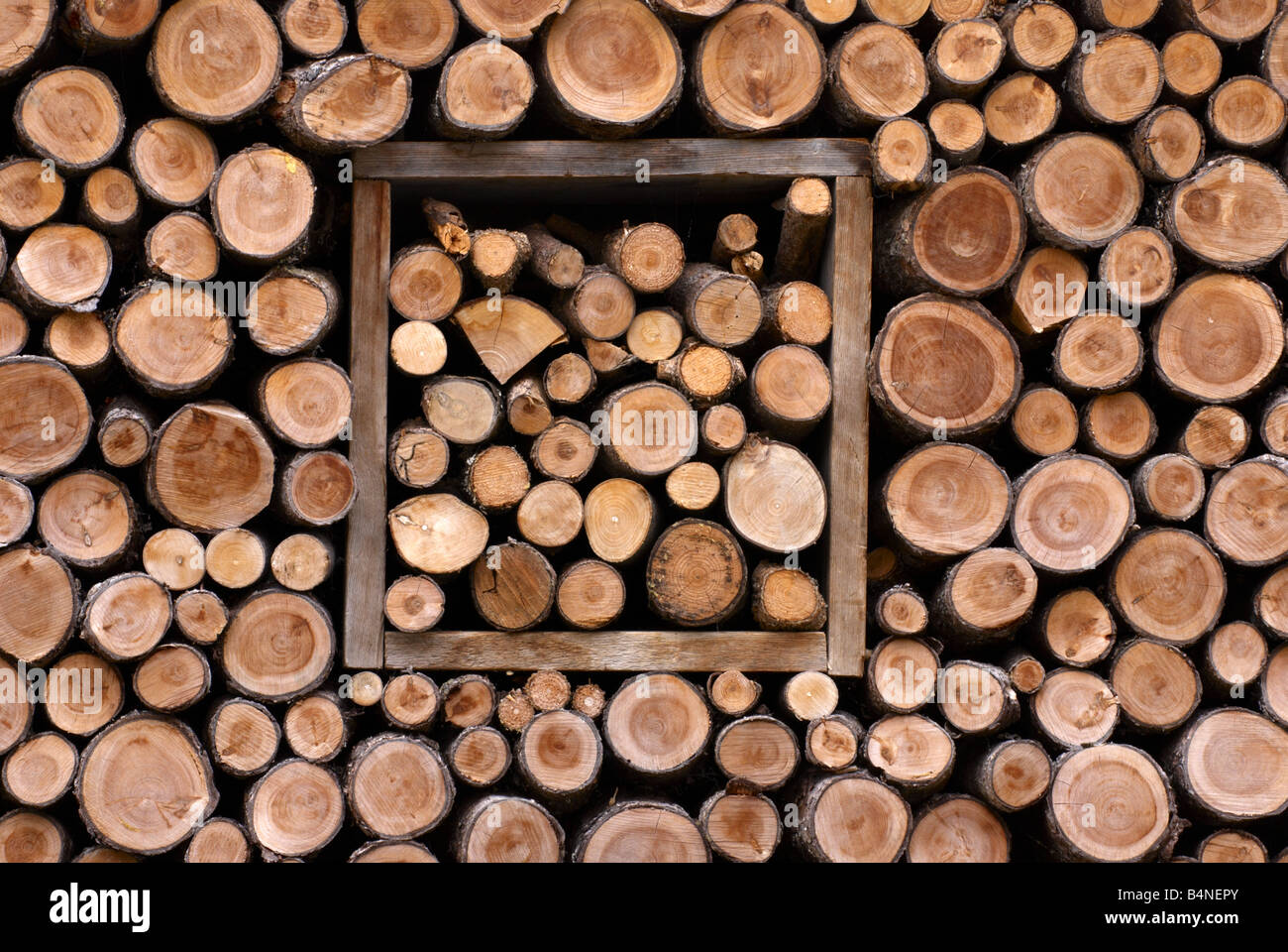 Log pile logpile hi-res stock photography and images - Alamy