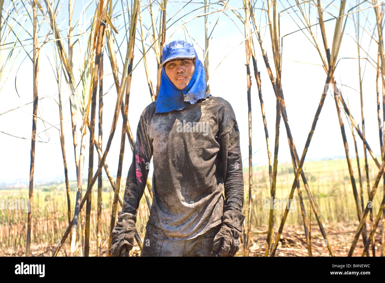 Suagr-cane field worker Stock Photo - Alamy