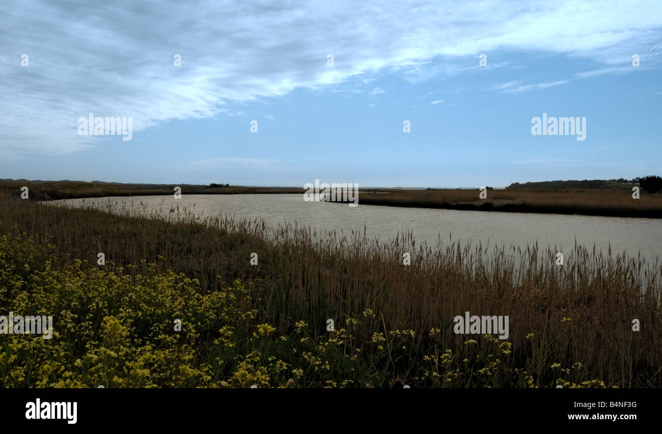 Tarwin river hi-res stock photography and images - Alamy
