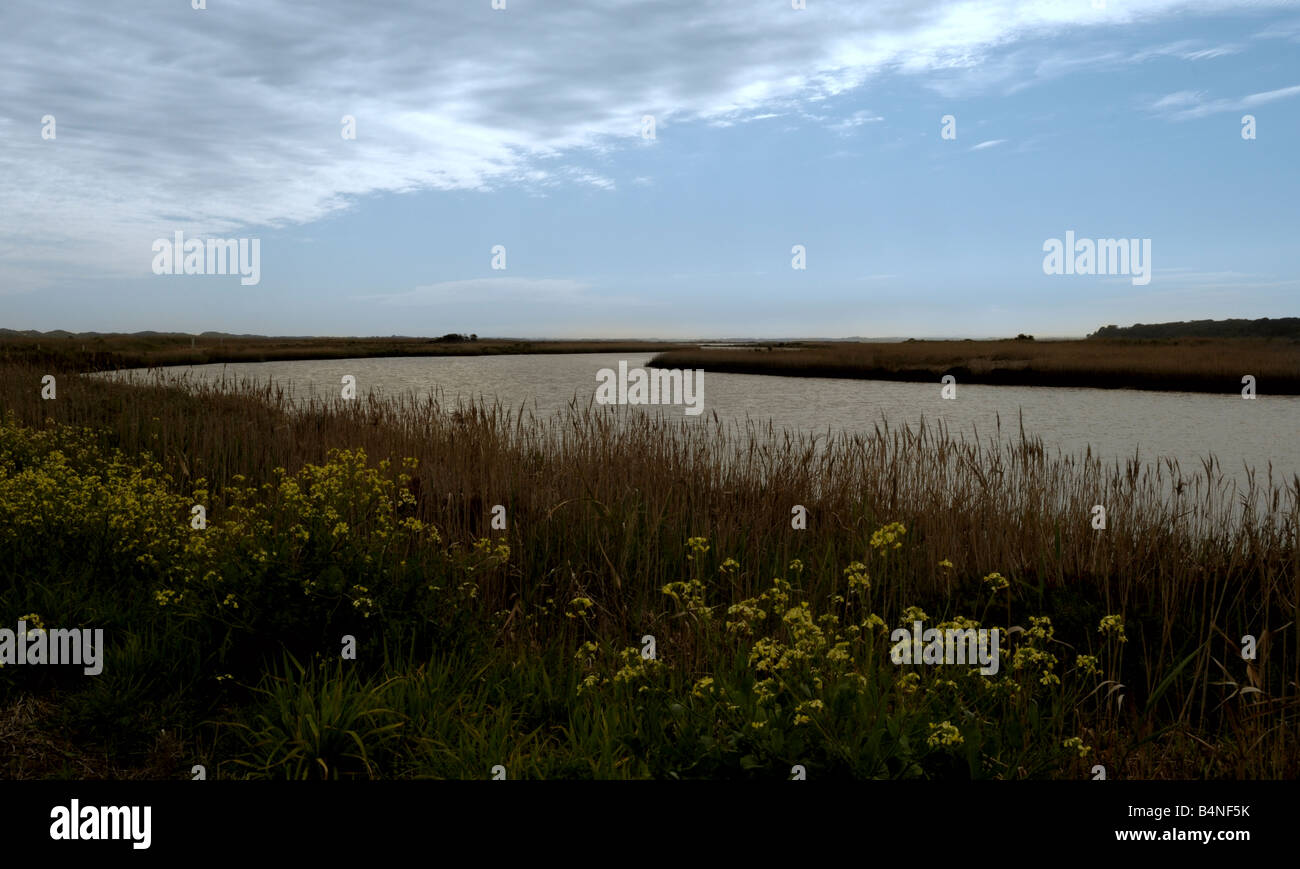 Tarwin river hi-res stock photography and images - Alamy