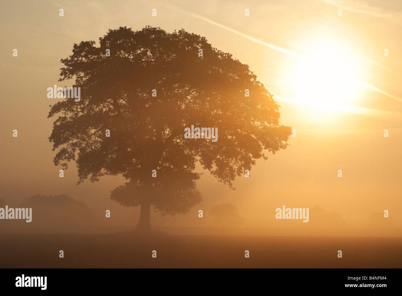 Mist british countryside hi-res stock photography and images - Alamy