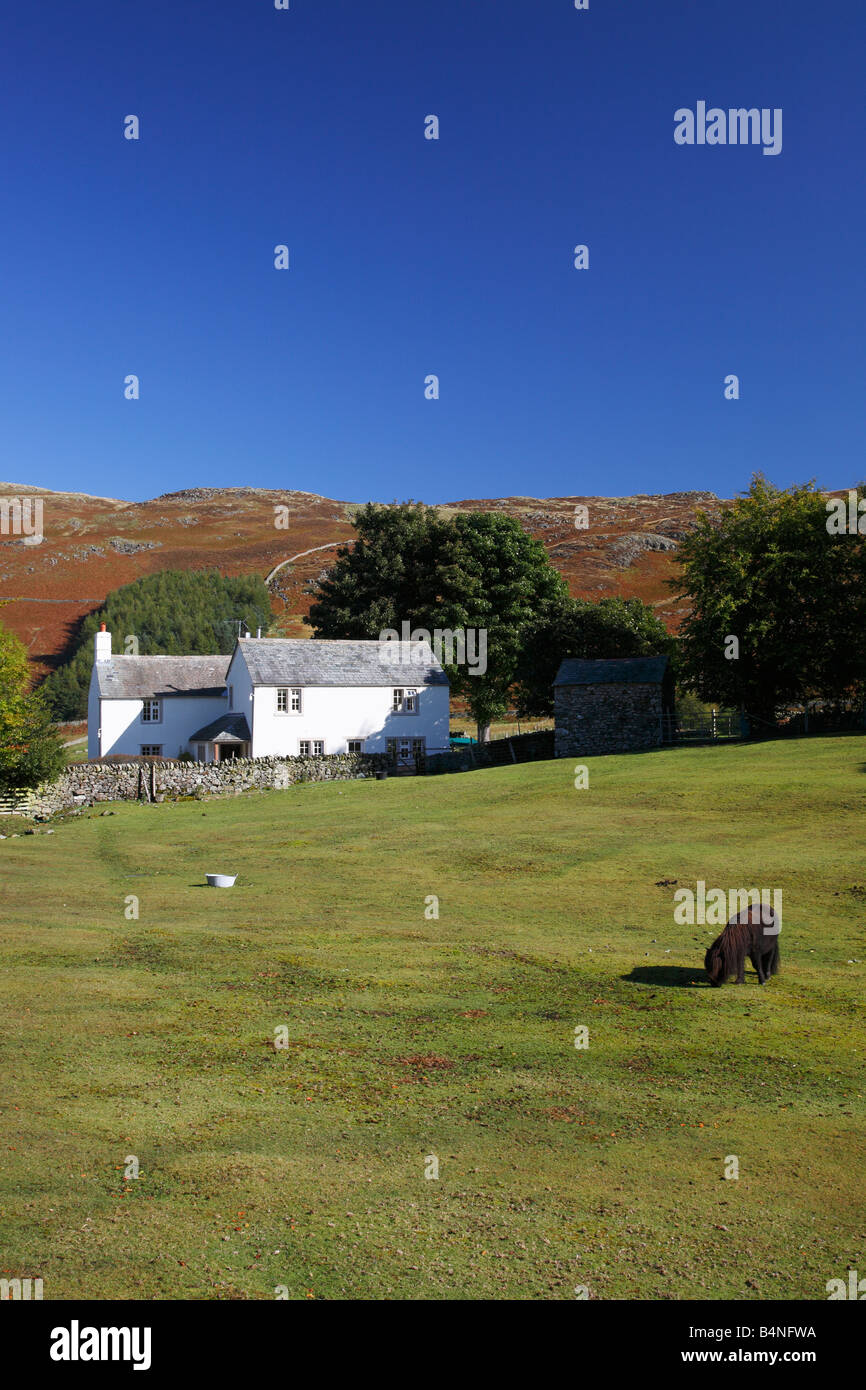 Farm house with fell pony in the field in front of Farm house at Park ...
