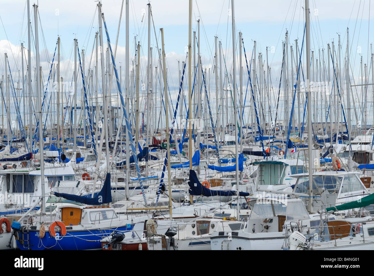 boats in a marina Stock Photo - Alamy