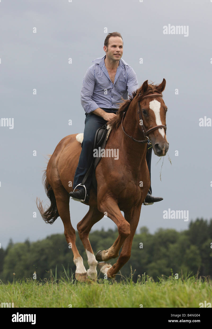 Man galopping on horseback across a green meadow Stock Photo - Alamy