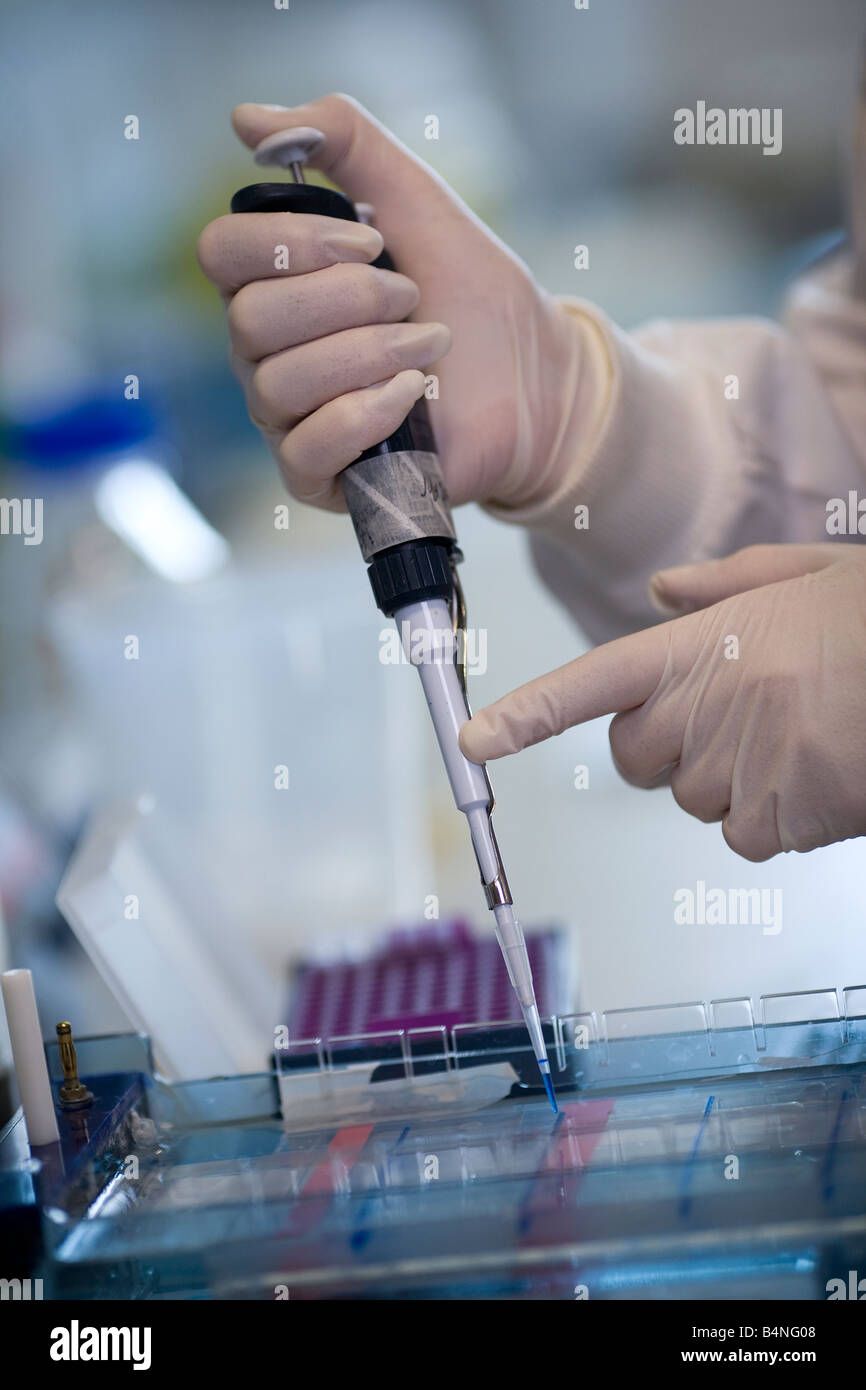A lab technician performing research experiments using a pipette Stock ...