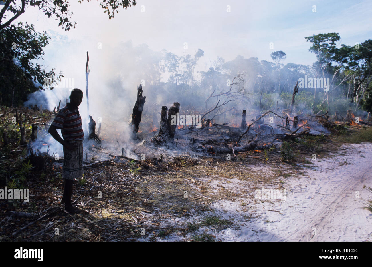 Slash burn africa hi-res stock photography and images - Alamy