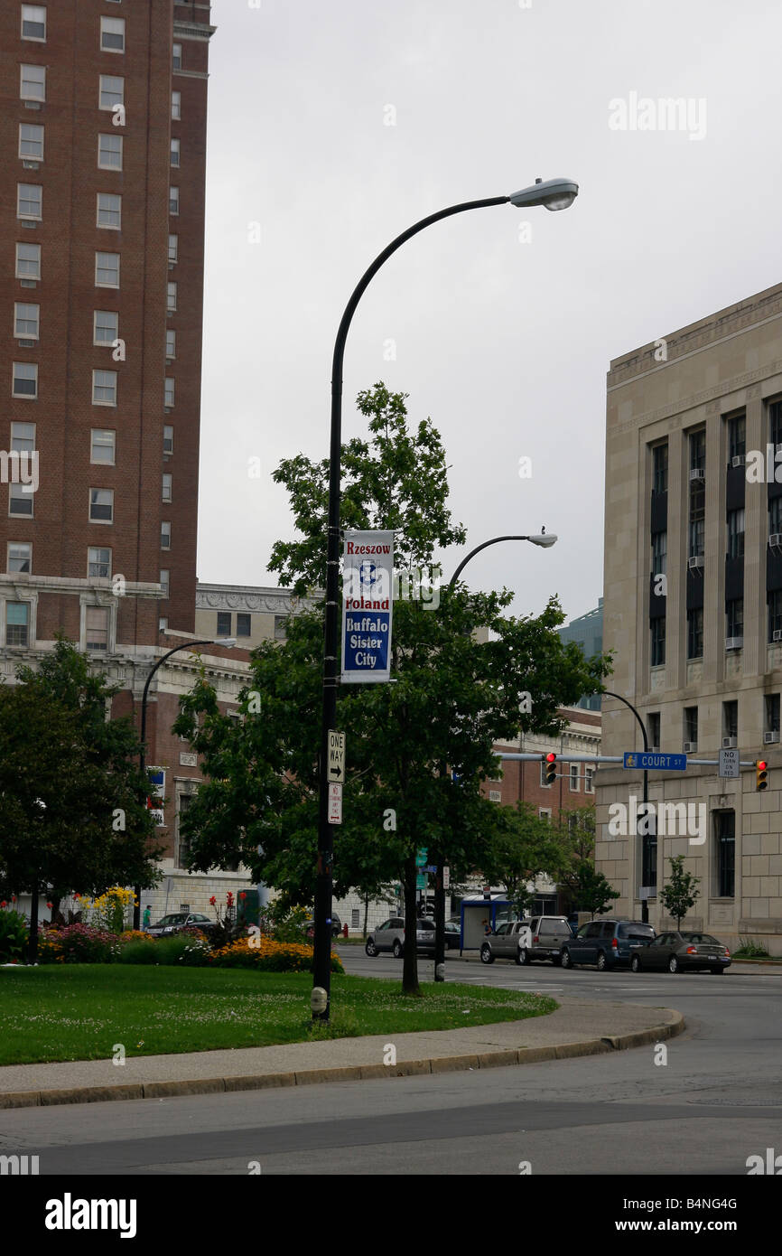 Buffalo hi res hi-res stock photography and images - Alamy