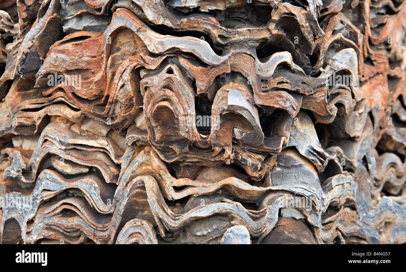 Cyanobacteria fossil hi-res stock photography and images - Alamy